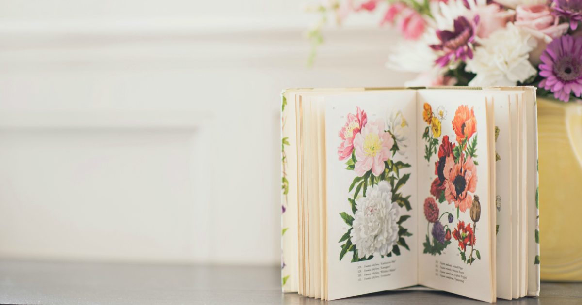 Wannabe coach – lični razvoj uprkos nesigurnosti - WANNABE MAGAZINE